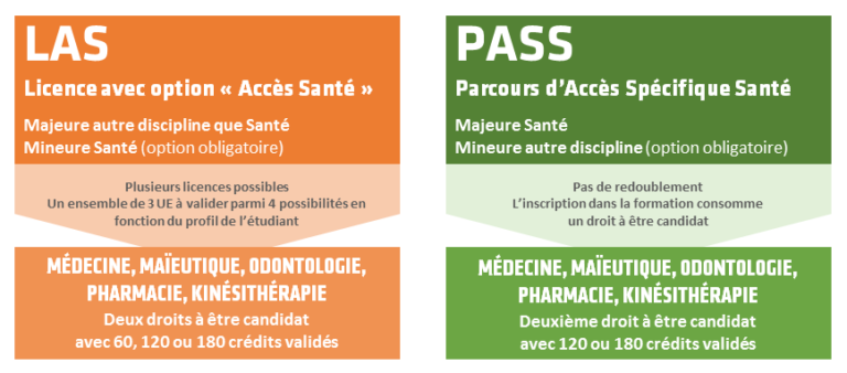 Comment accéder aux études de santé – Lycée François Mauriac